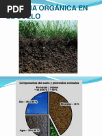 Cultivo Axénico | PDF