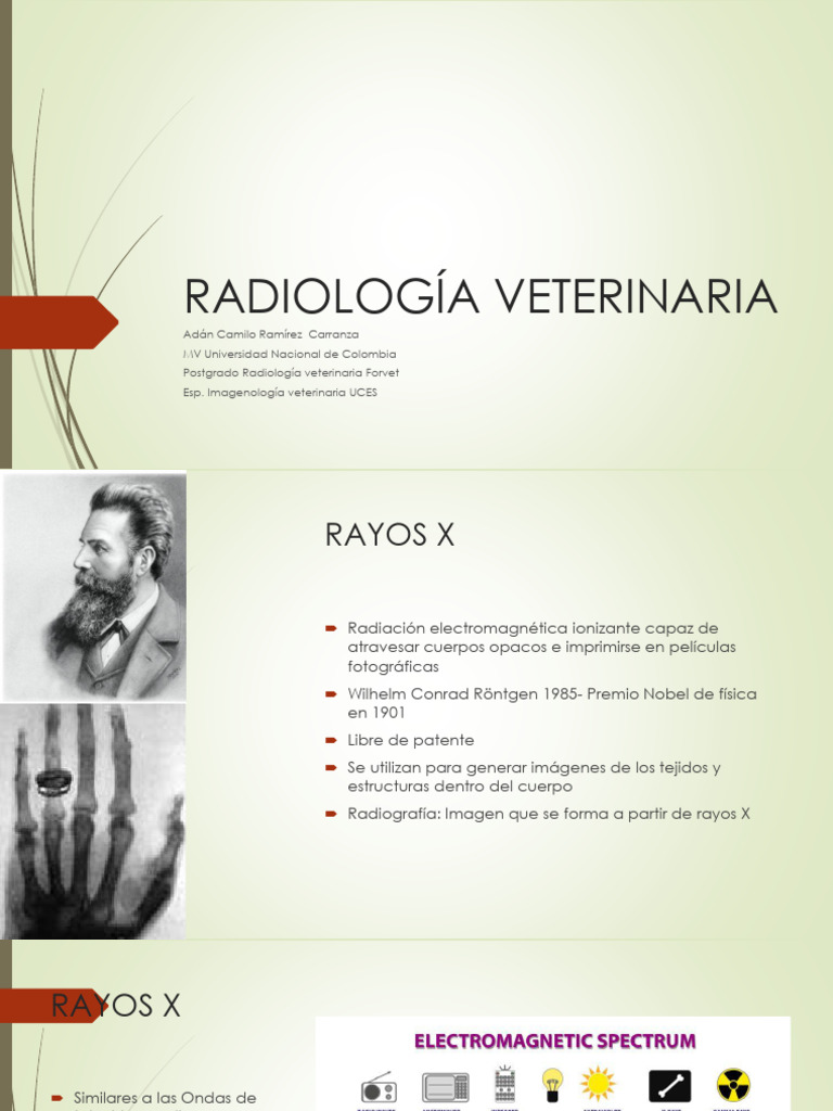 Principios Fisicos y Técnicos | PDF | Rayo X | Radiología