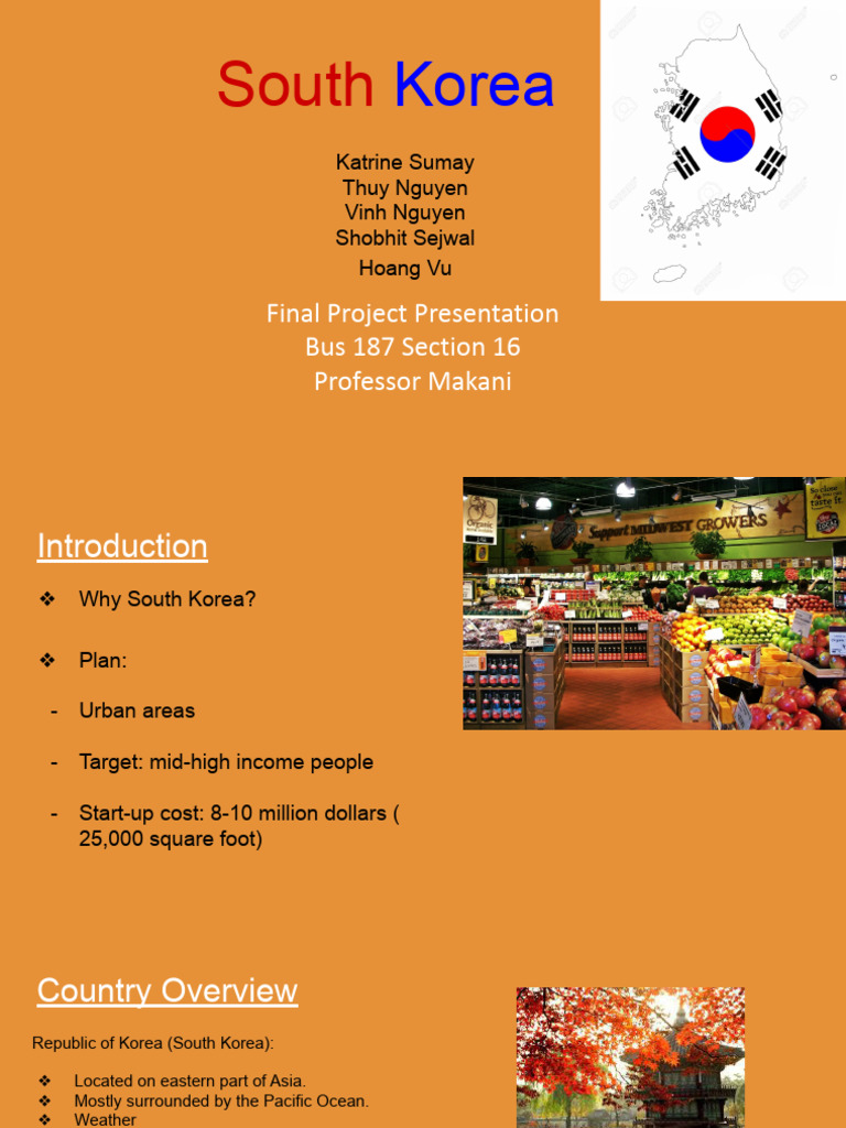 South Korea Country Facts Presentation | PDF | Cost Of Living | South Korea
