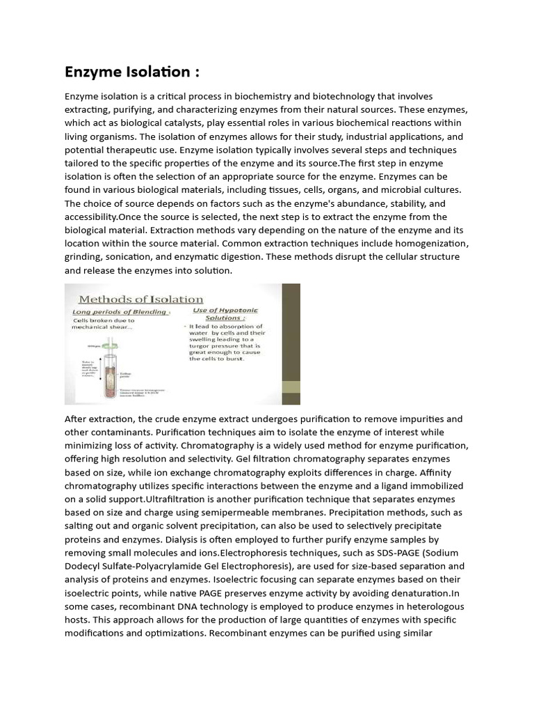 Enzyme Isolation | PDF | Protein Purification | Gel Electrophoresis