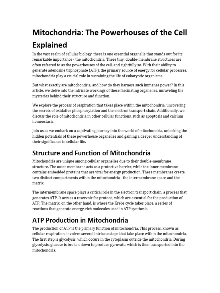 Mitochondria_ The Powerhouses of the Cell Explained (1) | PDF ...