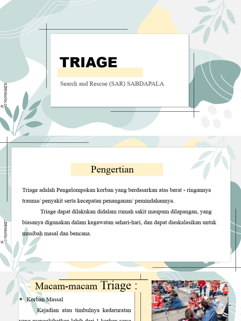 Triage | PDF