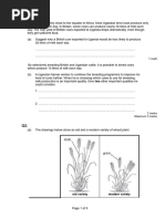 Grade 9 Photosynthesis | PDF | Leaf | Photosynthesis