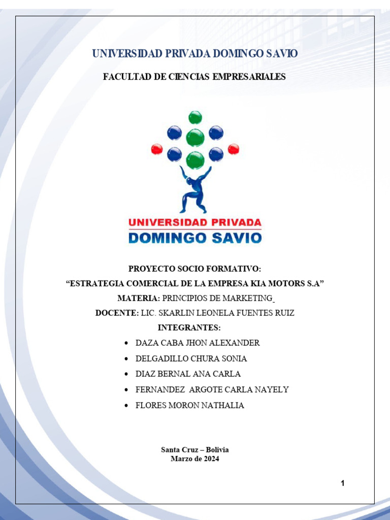 Proyecto Actualizado | PDF | Marketing | Producto (Negocio)