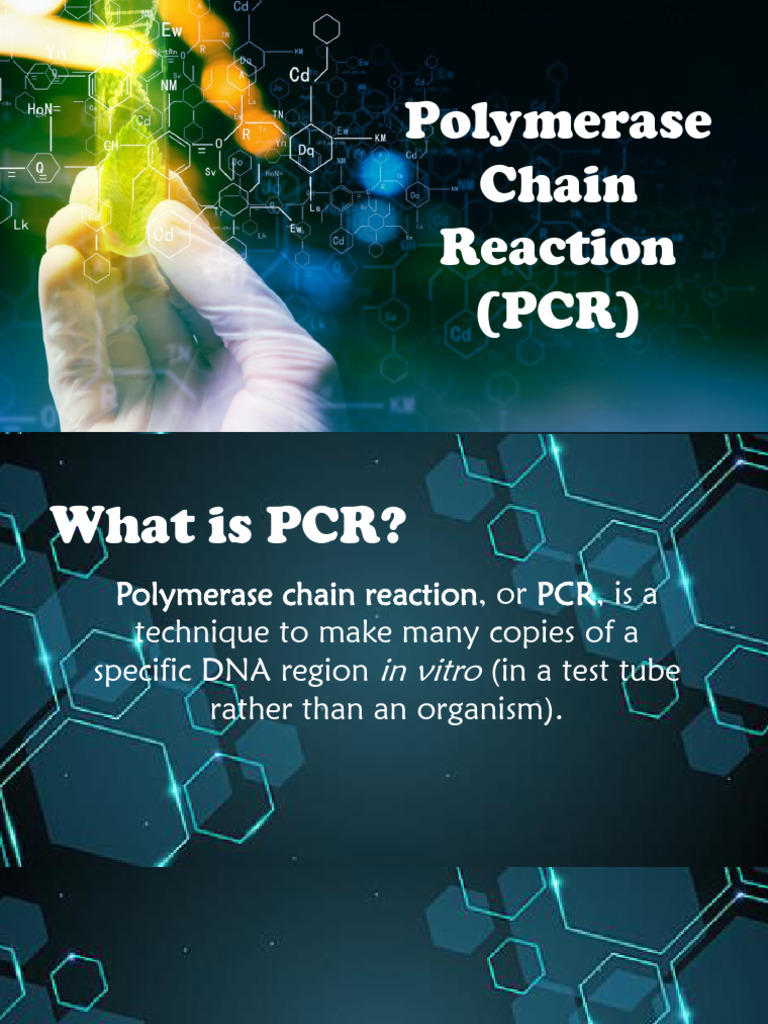 PCR Process and Requirements Explained | PDF | Computers