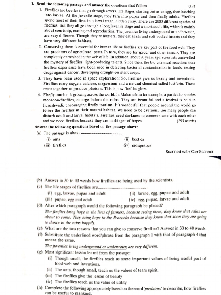 English Passage For Holiday Homework | PDF