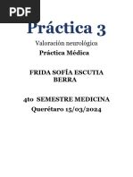 METAMERAS | PDF | Mano | Dedo del pie