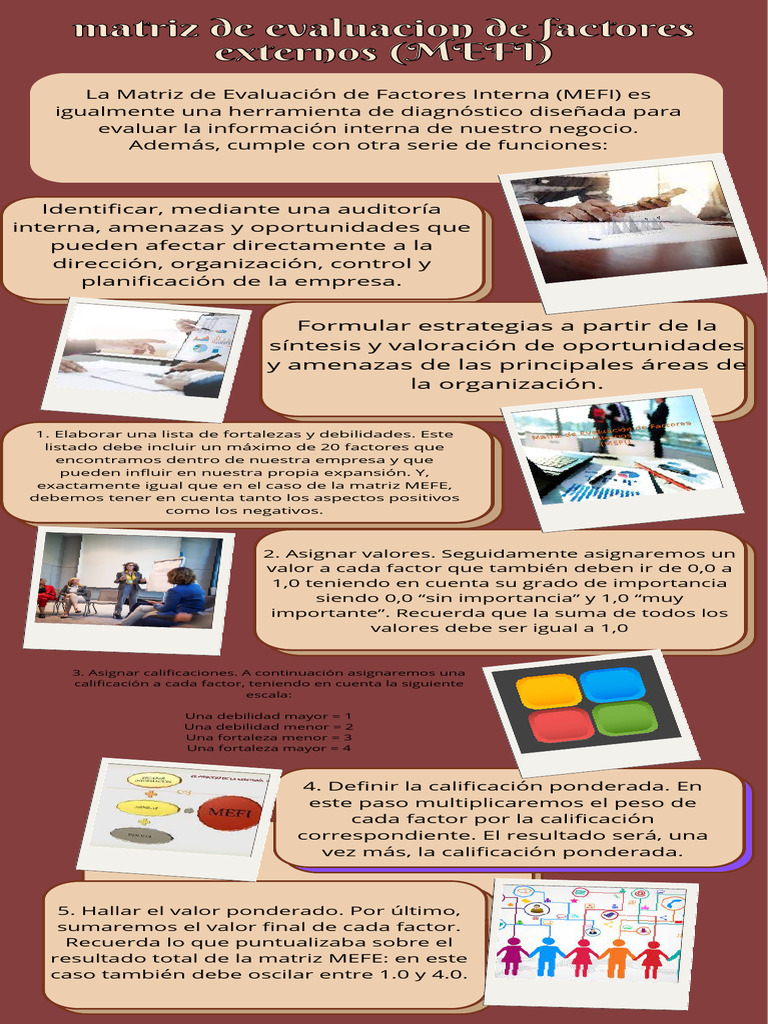 Guía sobre la Matriz MEFI en Negocios | PDF | Matriz (Matemáticas)