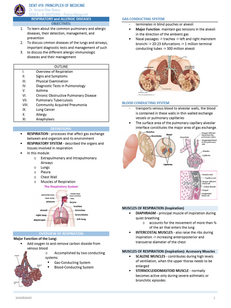 Pom MT | PDF | Chronic Obstructive Pulmonary Disease | Respiratory Diseases