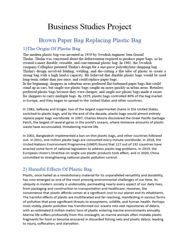 Business Studies Project | PDF | Recycling | Sustainability