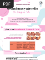 Brandt Andrews | PDF | Partería | Parto