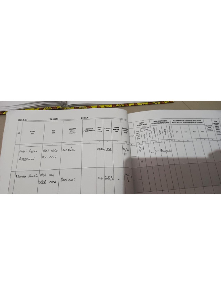 Register Kunjungan Bufas | PDF