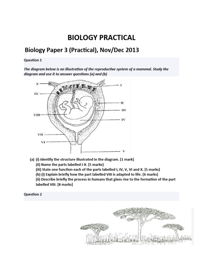 Biology Paper 3 (Practical), Nov/Dec 2013 | PDF | Tooth | Biology
