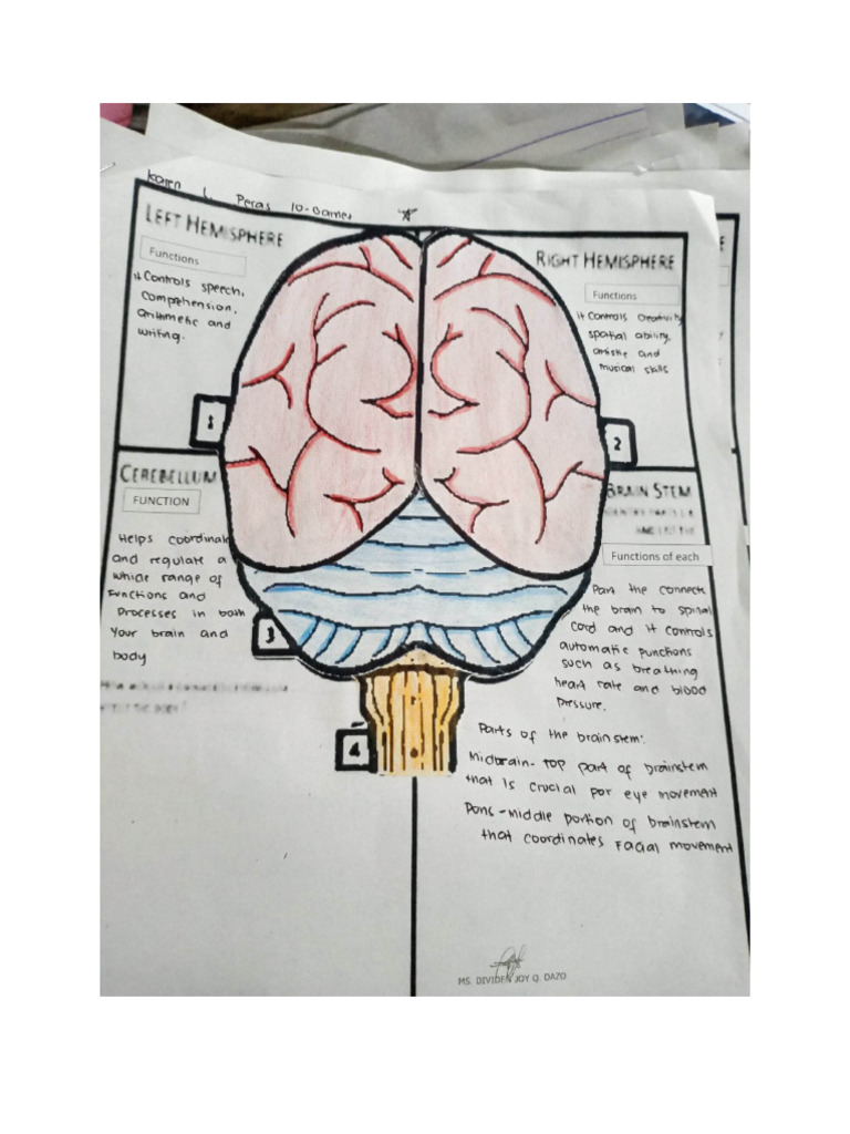 Project Brain | PDF