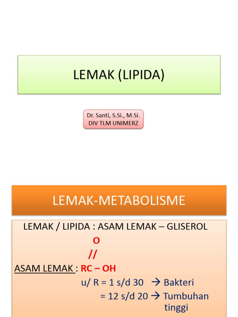 Metabolisme LEMAK | PDF