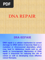 Lipofectamine MessengerMAX Man | PDF | Messenger Rna | Transfection