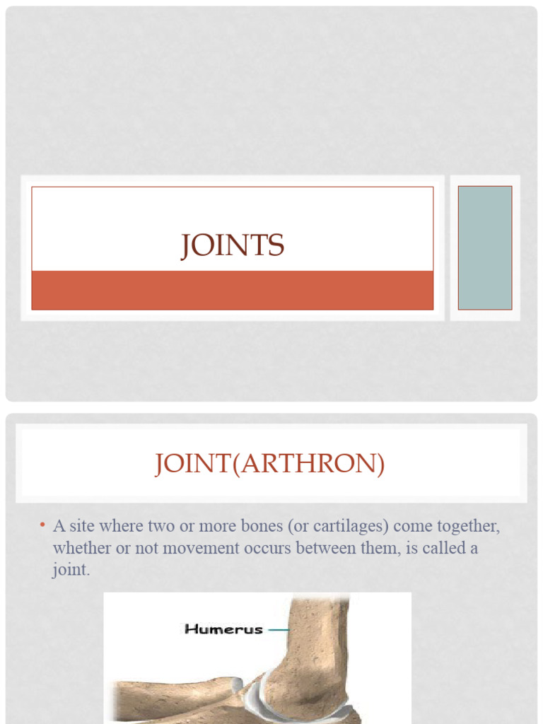 Joints | PDF | Anatomical Terms Of Motion | Joint