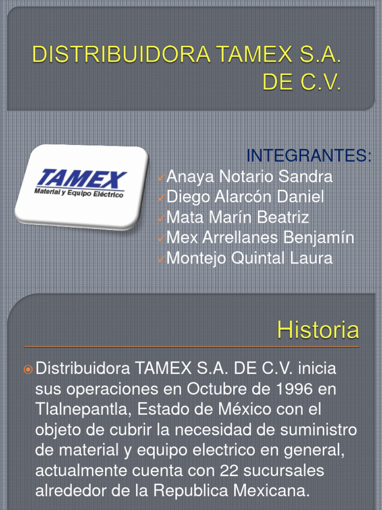 Distribuidora Tamex S | PDF | Business | Calidad (comercial)