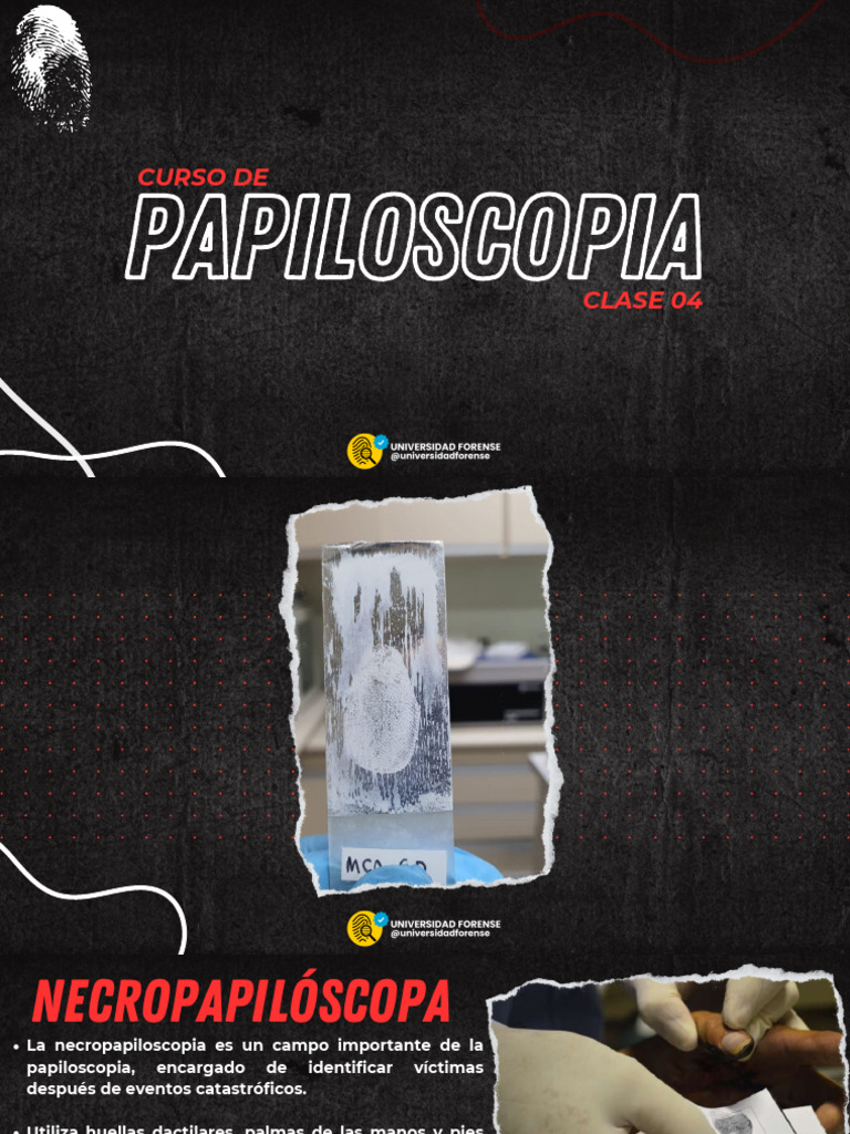 Clase 4 - Papiloscopia Forense | PDF | Huella dactilar | Descomposición