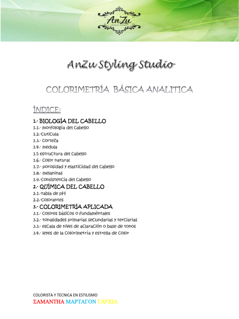 Colorimetria Basica Anzu Styling Studio | PDF | Pelo | Color