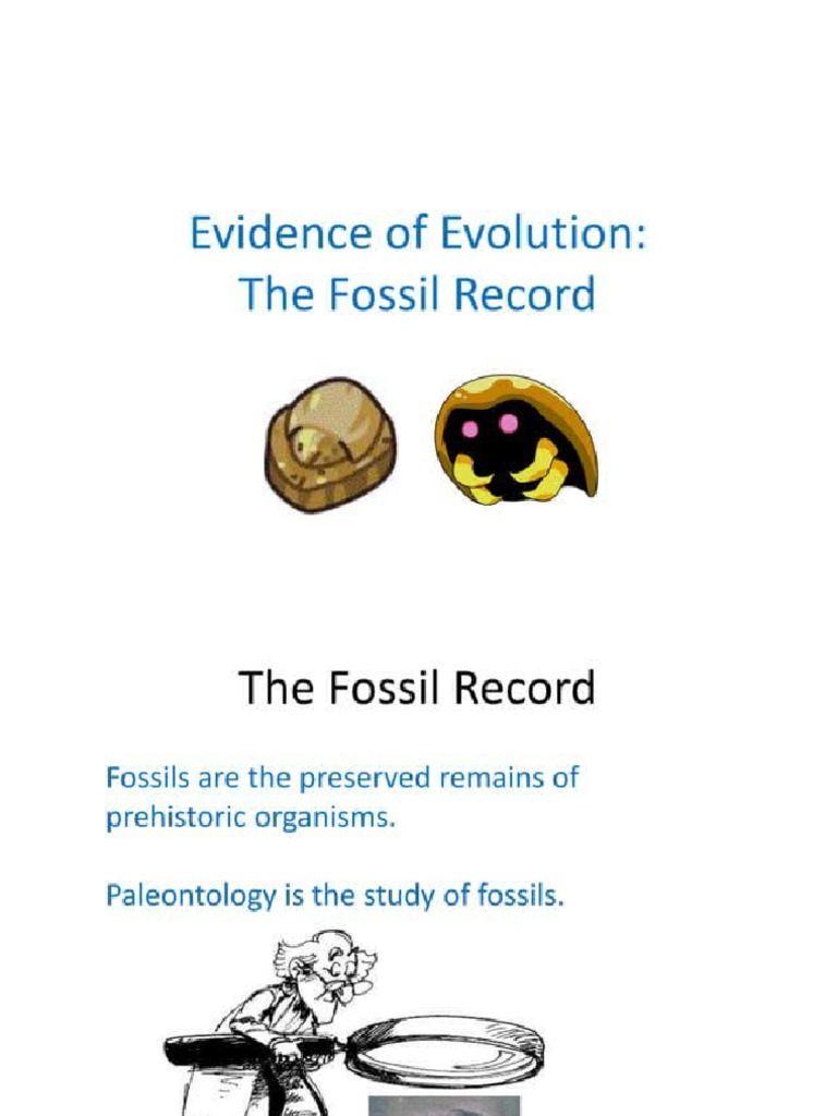 Evidence of Evolution | PDF