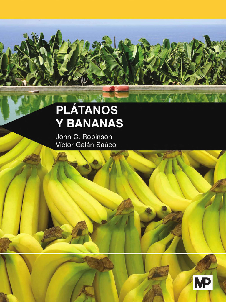 Platanos y Bananas | PDF
