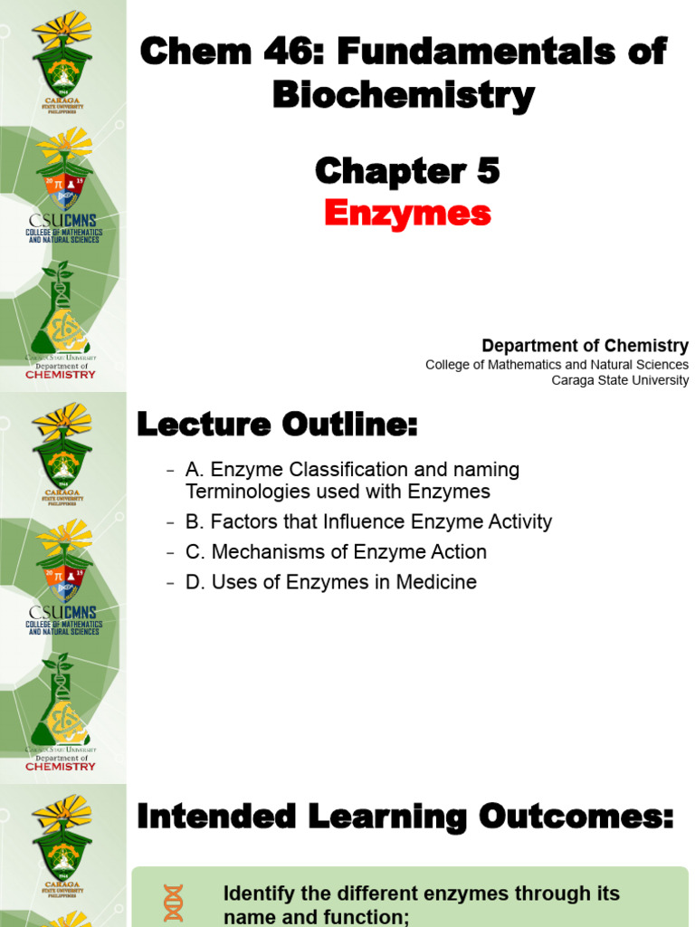 5 - CHEM 46 - Chapter 5 Enzymes | PDF | Enzyme | Enzyme Inhibitor