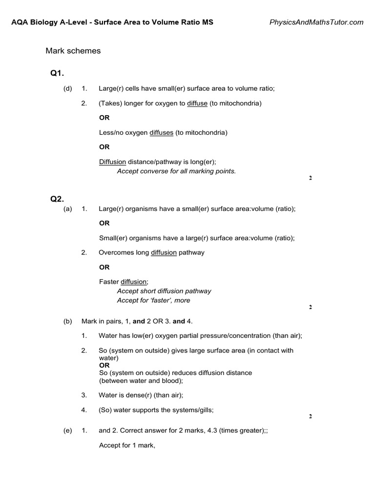 3.1 Surface Area To Volume Ratio MS | PDF | Diffusion | Cellular ...