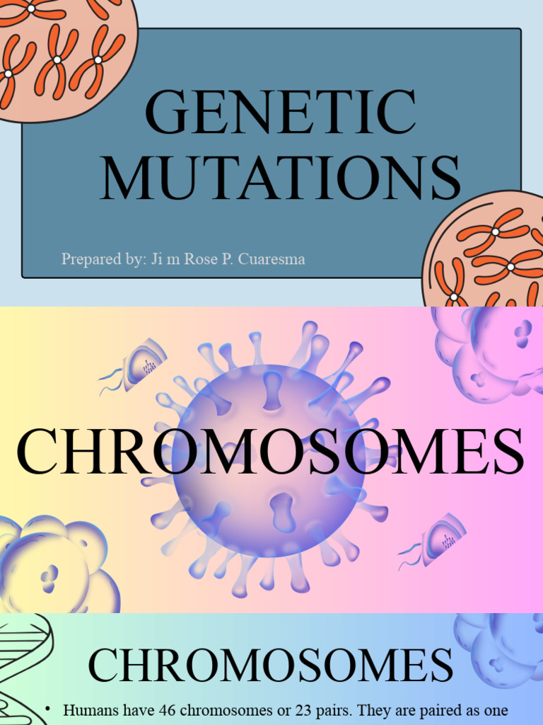 4 2-Mutation | PDF | Chromosome | Mutation