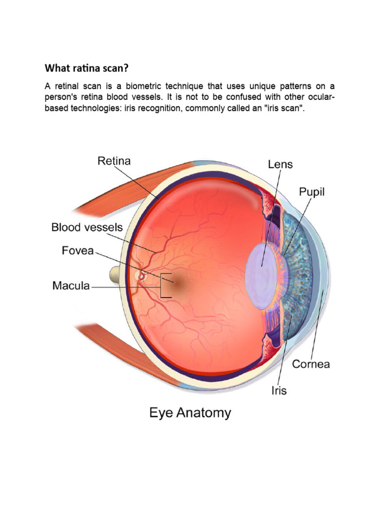 CH-5 Cyber Seurity PART-2 | PDF | Proxy Server | Firewall (Computing)