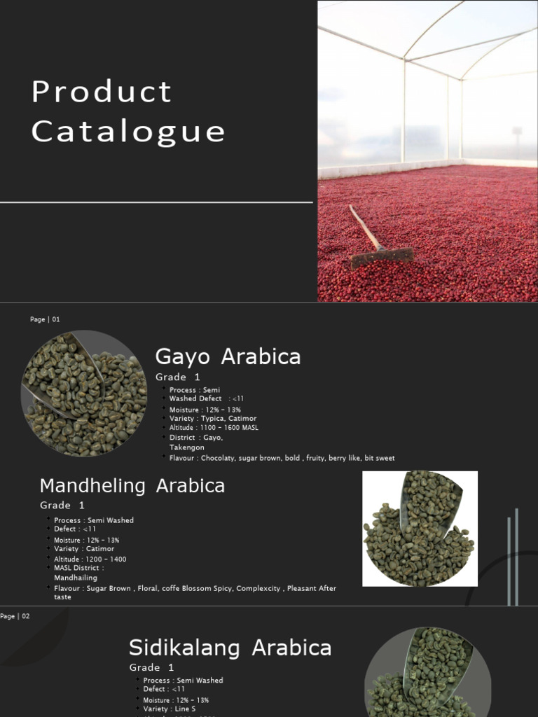 Product Catalogue Hazel Roaster | PDF