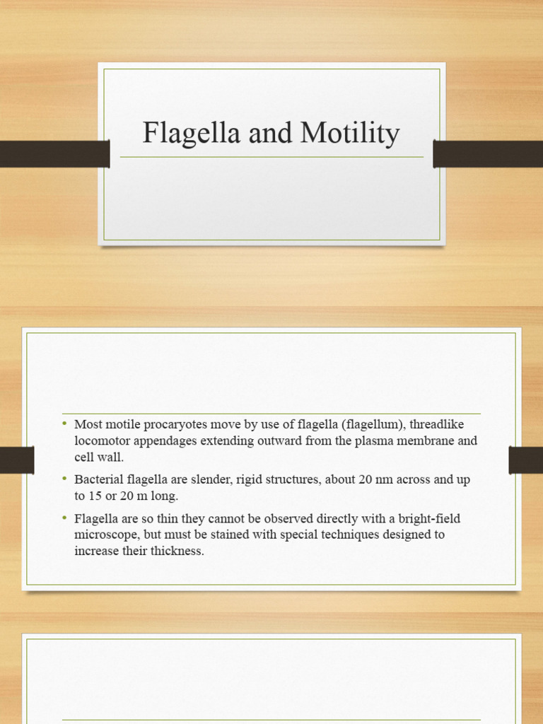 Flagella Structure and Bacterial Motility | PDF | Microscopy | Biology