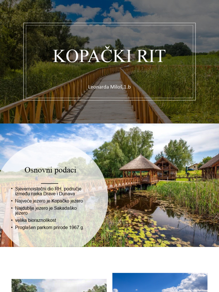 Kopački Rit | PDF