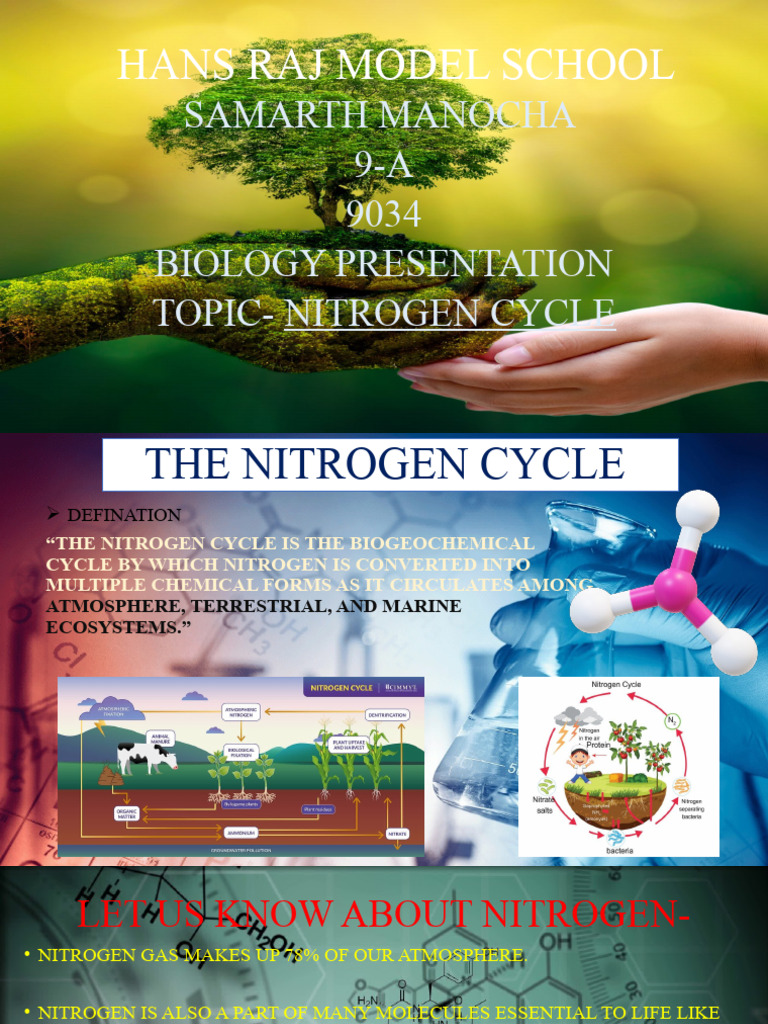 The Nitrogen Cycle | PDF