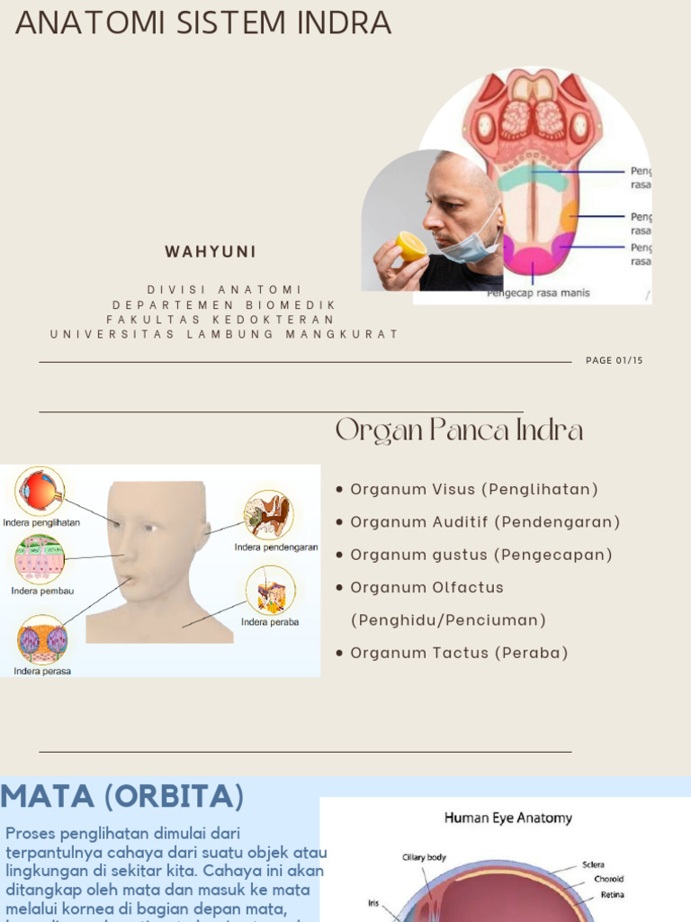 Terminologi Serta Struktur Sistem Indra (Sensoris) | PDF