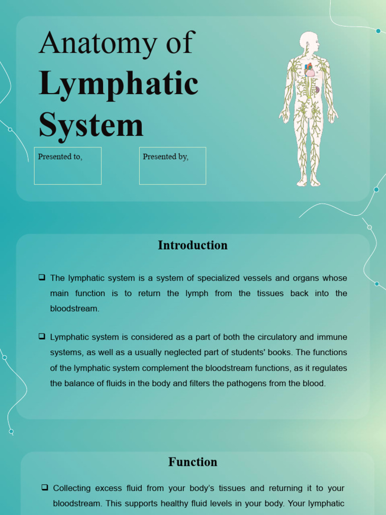 Anatomy of Lymphatic System | PDF | Lymphatic System | Lymph