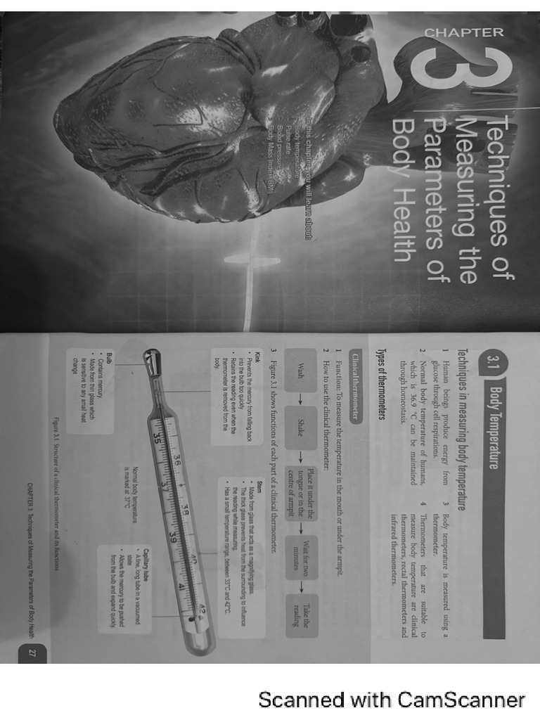 F4 CHP 3 Notes (English) | PDF