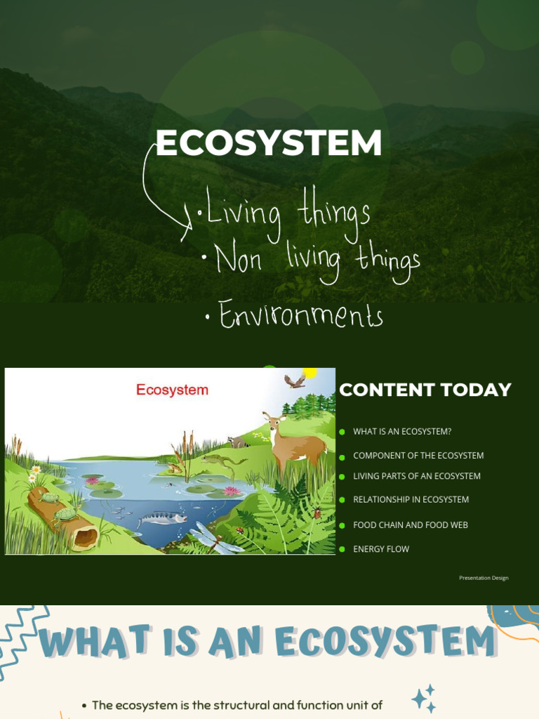 Ecosystems (Grade 7F) - 1 | PDF | Ecosystem | Foods