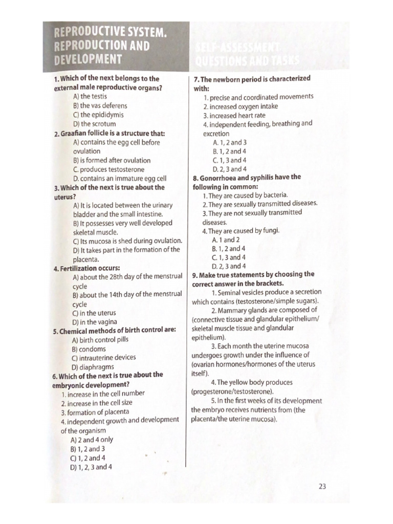 Reproductive System Pdf