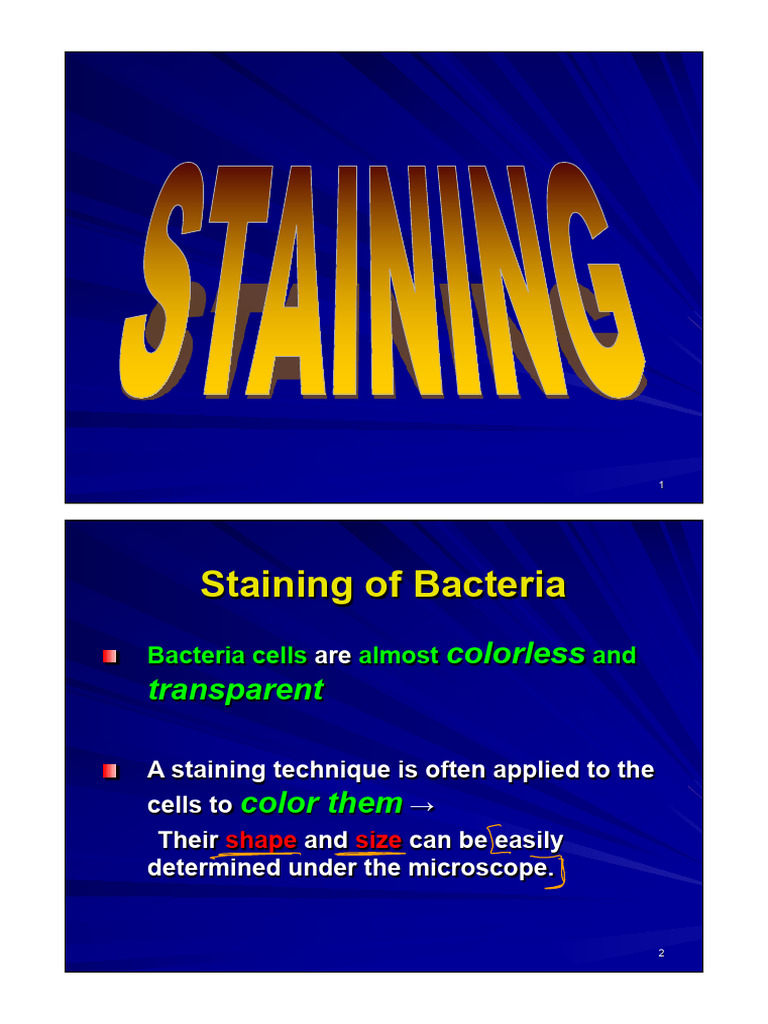 2-bacterial staining | PDF | Staining | Laboratory Techniques