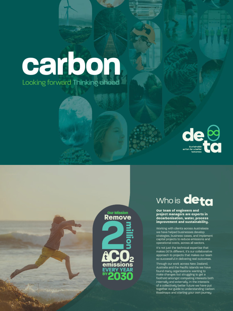 DETA Carbon Strategy and Roadmap | PDF | Carbon Footprint | Climate ...