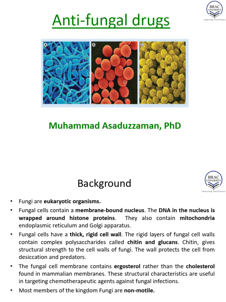 Anti-fungal drugs - Summer 2023 | PDF | Candidiasis | Fungus