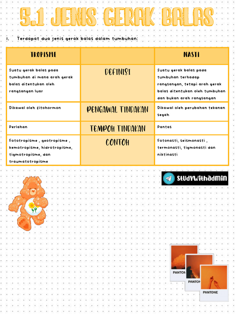 Bio Bab 5 F5 Studywithadmin | PDF