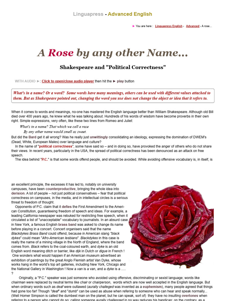 A Rose by Any Other Name - How Correct Is Political Correctness | PDF ...