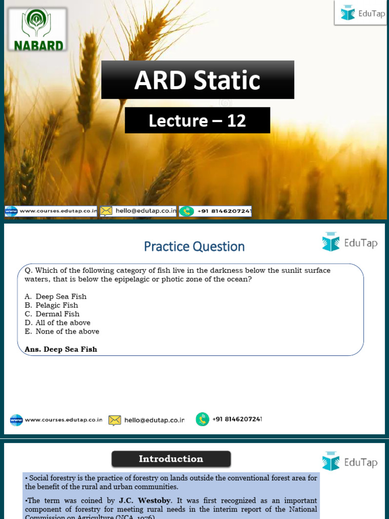 Forestry Pdf Forestry Forests