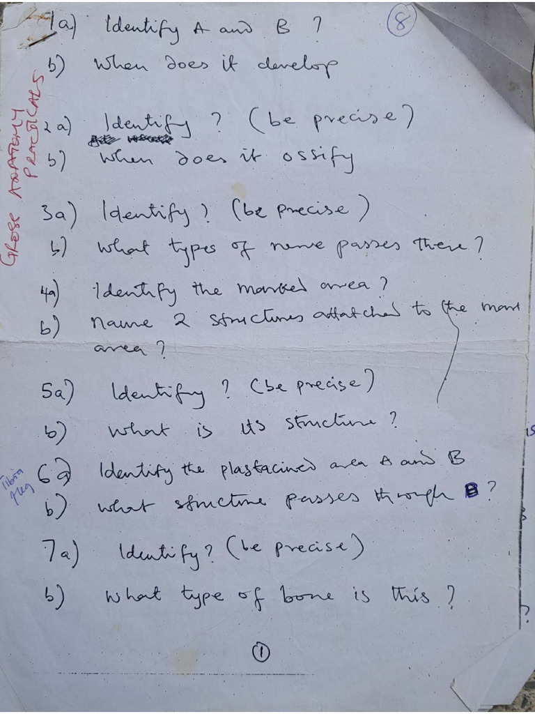 Anatomy Practical 2 | PDF