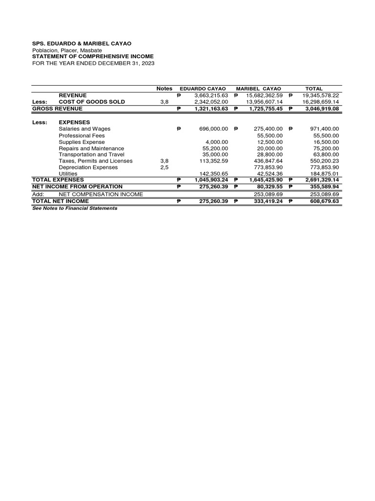 Income Statement | PDF
