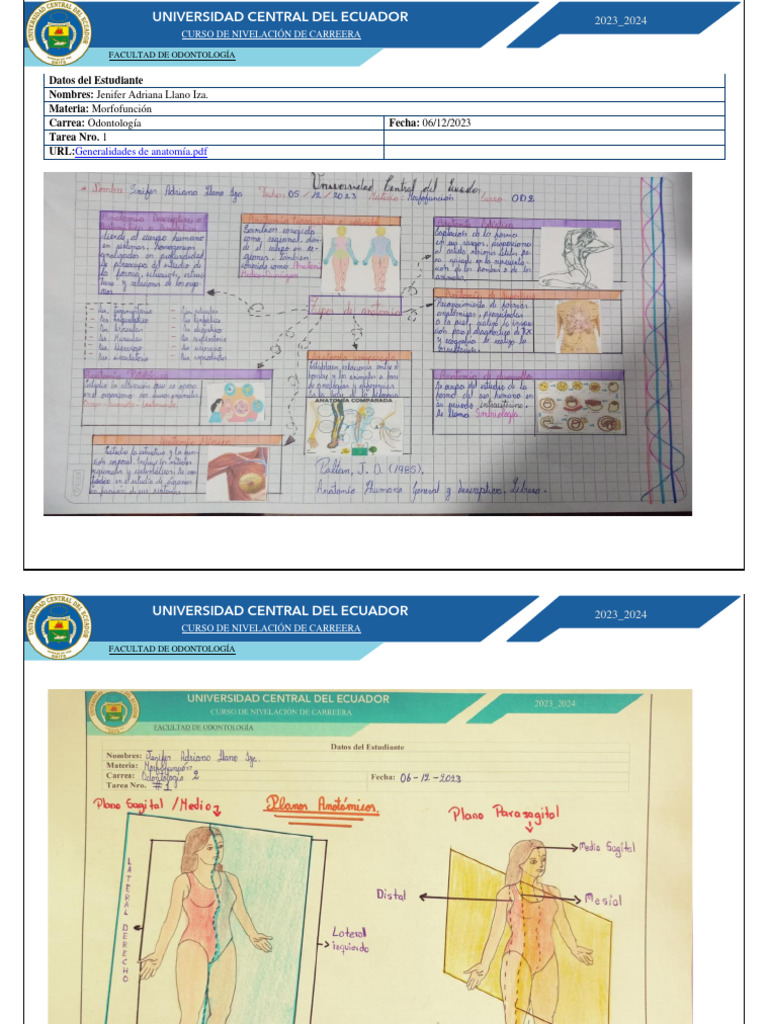 Generalidades de anatomía.1 | PDF | Sistema musculoesquelético | Anatomía