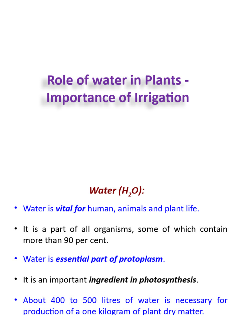AGR 351 - Role of Water in Plants - PPT 1 - Agri Junction | PDF | Soil ...