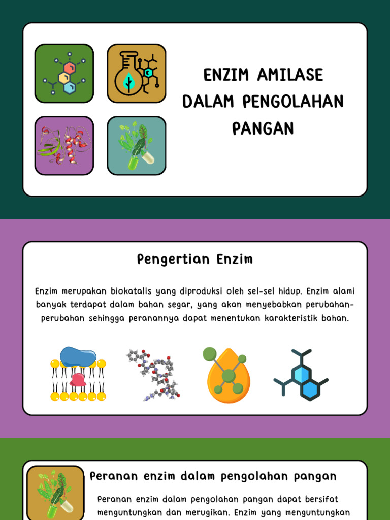 Syarifah Putri-Enzim Amilase-Matkul BTP | PDF